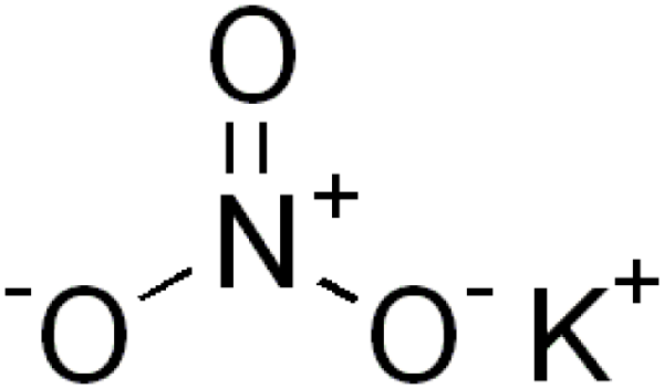 Salpêtre et sel nitrité